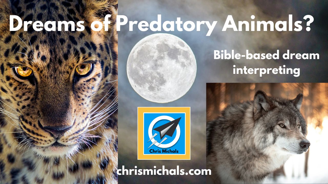 Dreams Of Being Attacked By A Wolf & Other Predatory Animals? Here’s ...